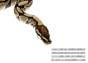 Python in Tableau Prep: simple useful scripts | VizPainter