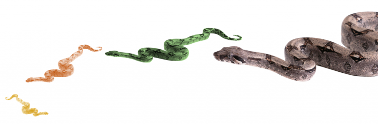 Python in Tableau Prep: simple useful scripts – VizPainter